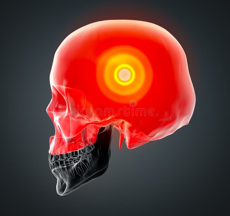 Half Human Half Skull Stock Illustrations – 175 Half Human Half Skull ...