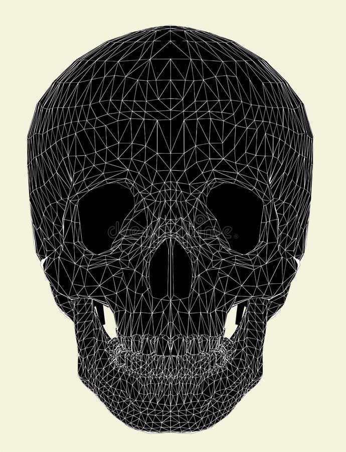 Human Skull Vector 01 stock vector. Illustration of human - 13474741