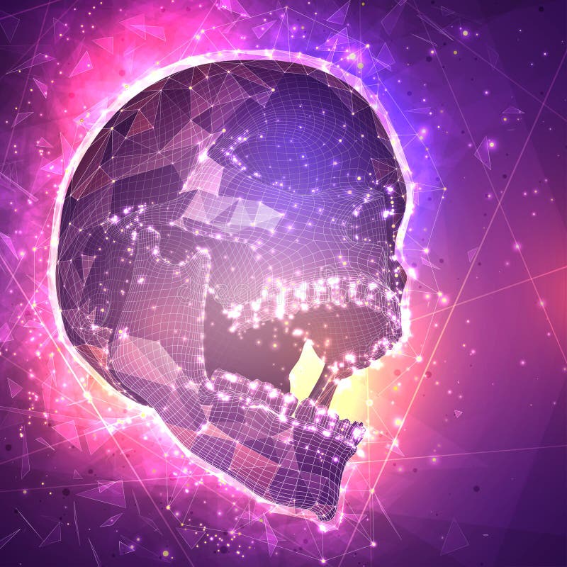 Human Skull. Vector Concept Stock Vector - Illustration of destruction ...