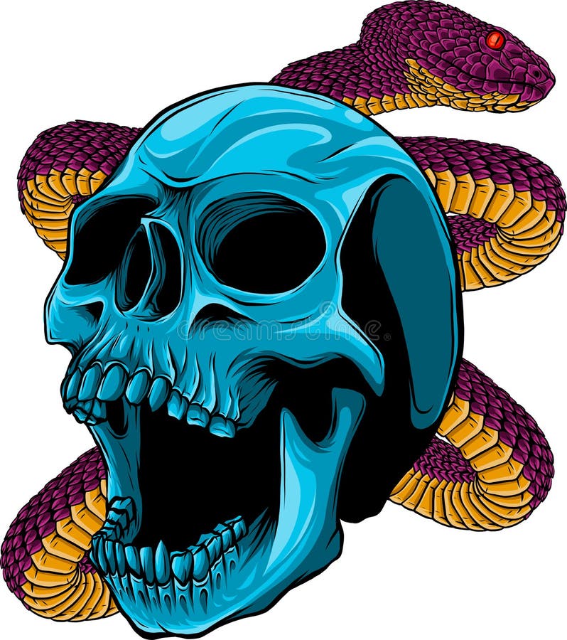 Colored Draw of Human Skull Vector Illustration Design Stock Vector ...
