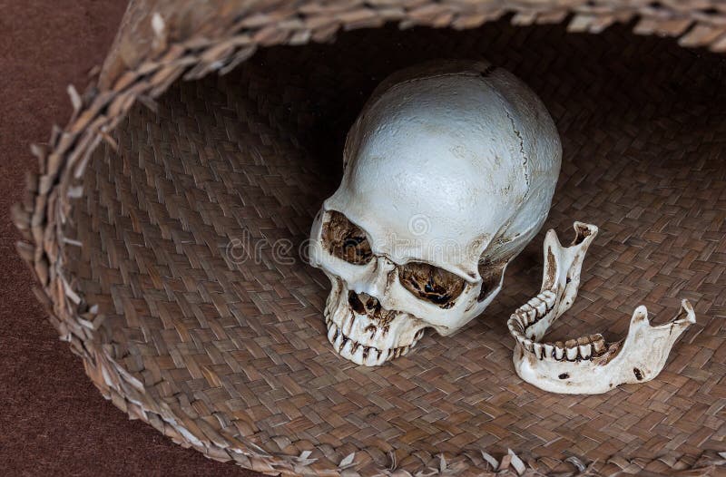 Human Skull in Wicker Basket Stock Photo - Image of medical, head: 45778748