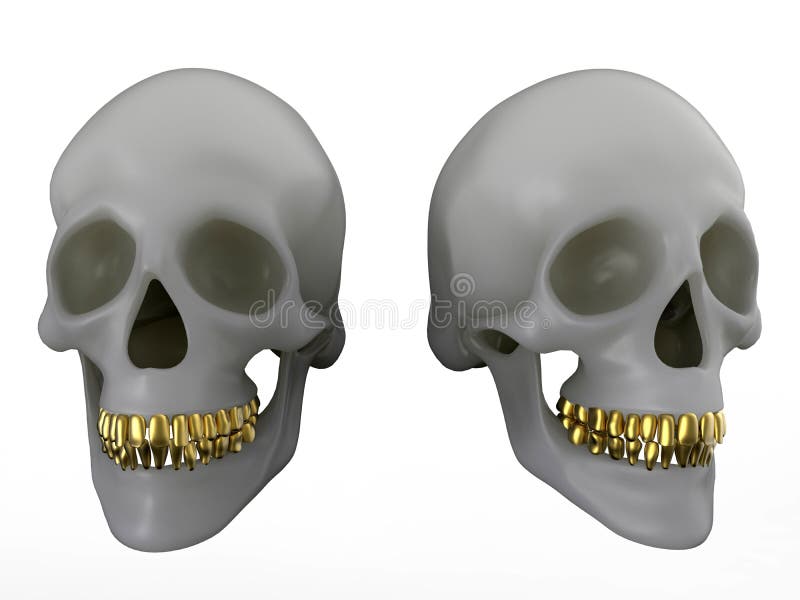 Skull No Teeth Stock Illustrations – 70 Skull No Teeth Stock ...