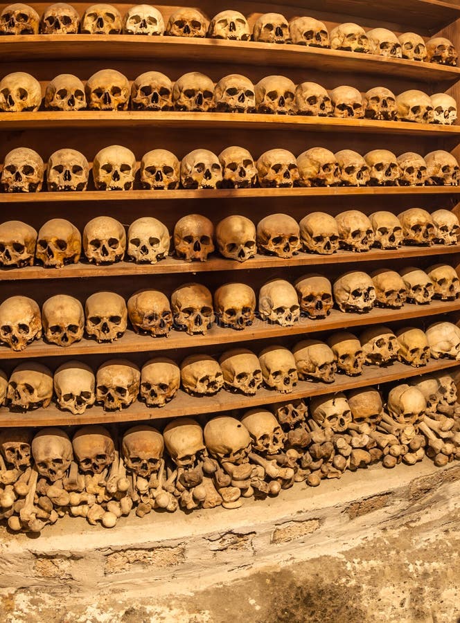 Human Skulls stock photo. Image of halloween, crypt, bone - 59594452