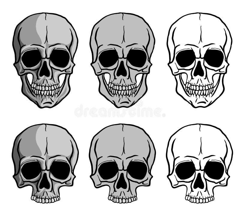 Human Skulls Vector Set. Hand Drawn Black and White Vector Skulls Stock ...