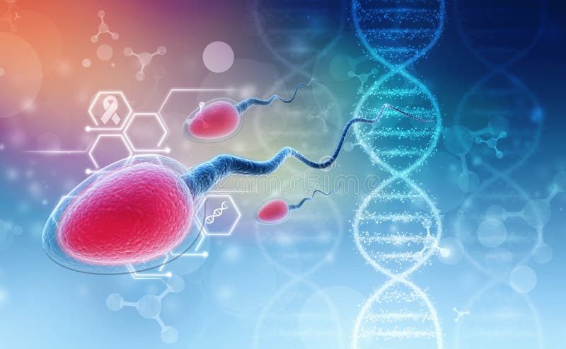 Male Sperm Fertilize Female Egg Fertilization And Ovulation Concept