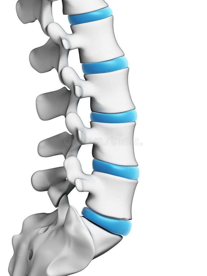 Human spine stock illustration. Illustration of chronic - 30722611