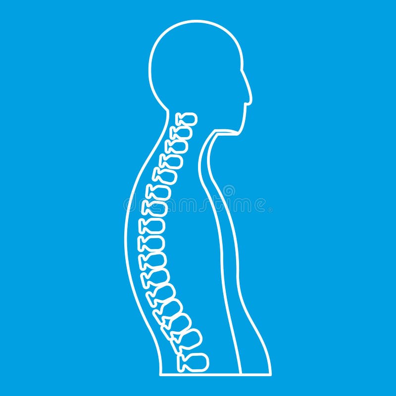 Spine Icon Stock Illustrations – 25,713 Spine Icon Stock Illustrations ...