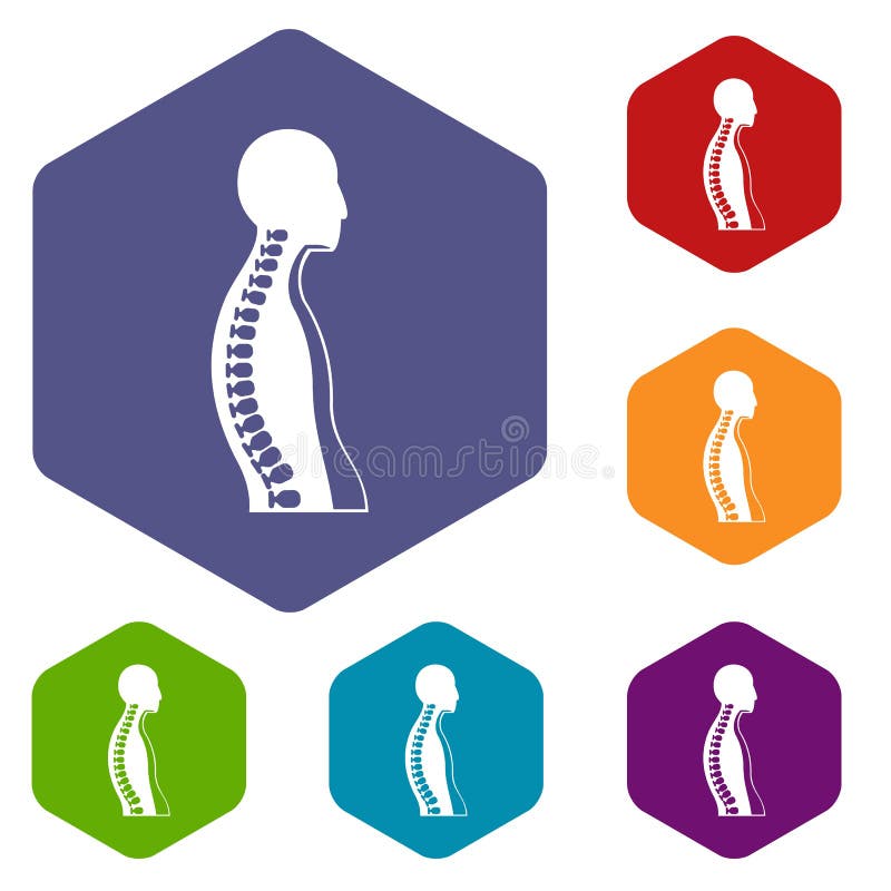 Human Spine Icons Set Hexagon Stock Vector - Illustration of ...