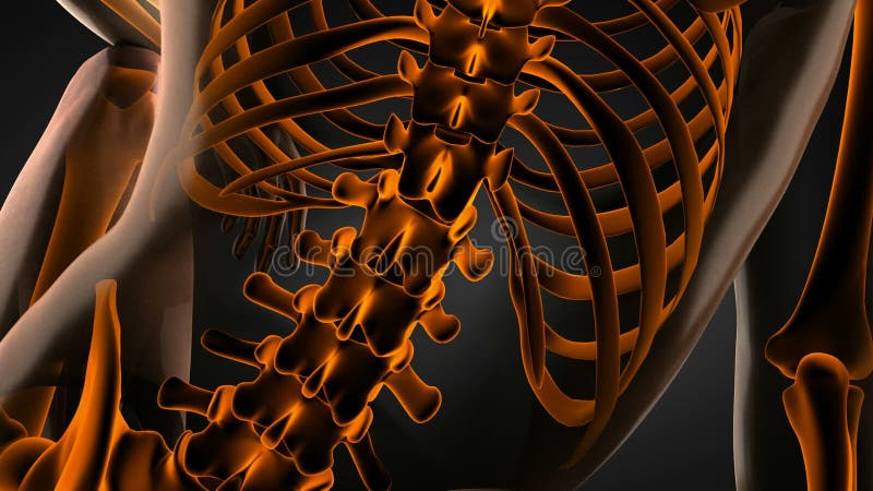 Human Spine Radiography X-ray Scan Stock Video Footage - Video of ...
