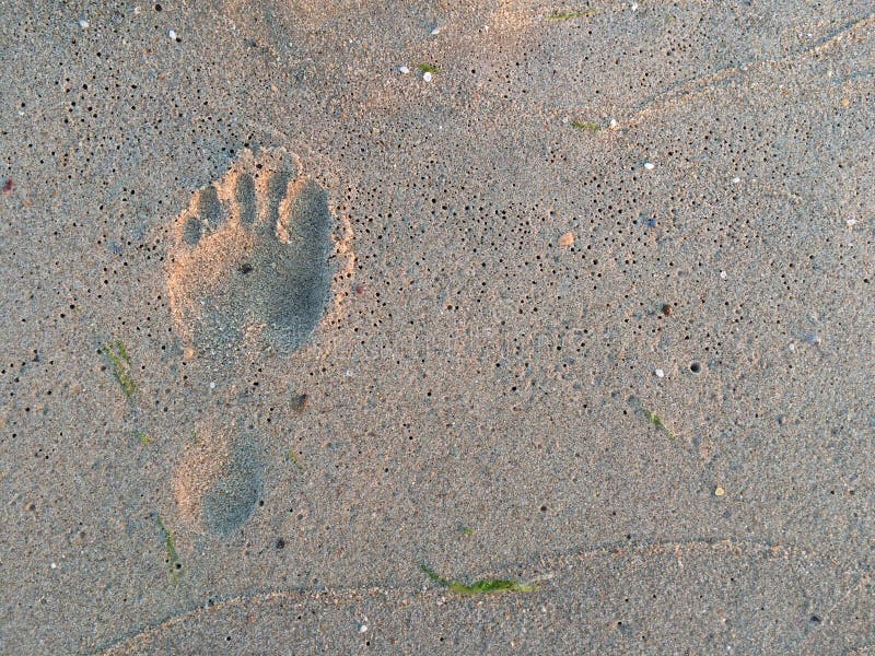 Human step on the sand stock image. Image of morning - 74713729