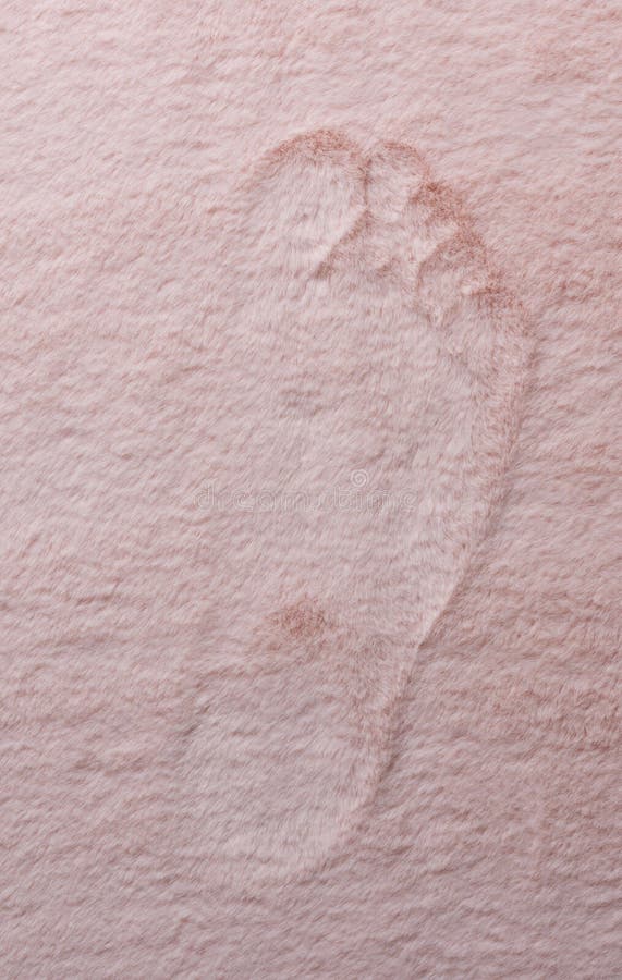 Human Step Trace on Fluffy Pink Carpet Stock Image - Image of fabric ...
