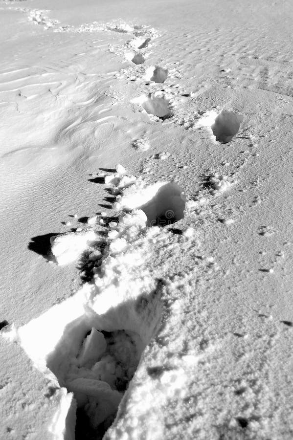 Human steps in snow stock photo. Image of steps, human - 289642284