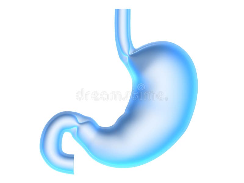 Stomach Stock Illustrations – 77,248 Stomach Stock Illustrations ...