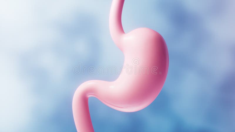 Human Stomach with Blue Background, 3d Rendering Stock Footage - Video ...