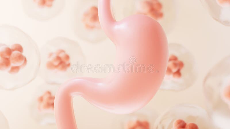 Human Stomach and Cell Background, 3d Rendering Stock Footage - Video ...