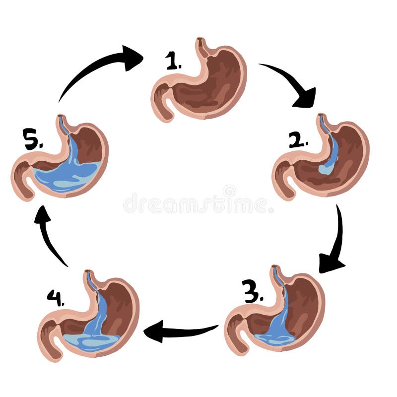 Sequential Breakdown Stock Illustrations – 8 Sequential Breakdown Stock ...