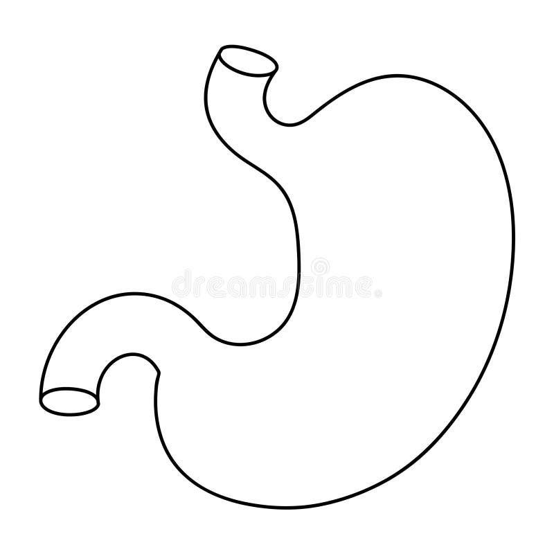 Outline Stomach Stock Illustrations – 8,576 Outline Stomach Stock ...