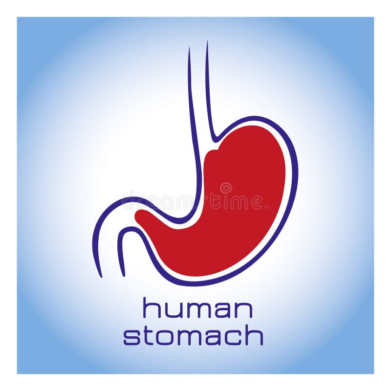 Human Stomach Symbol. Vector Illustration Stock Vector - Illustration ...