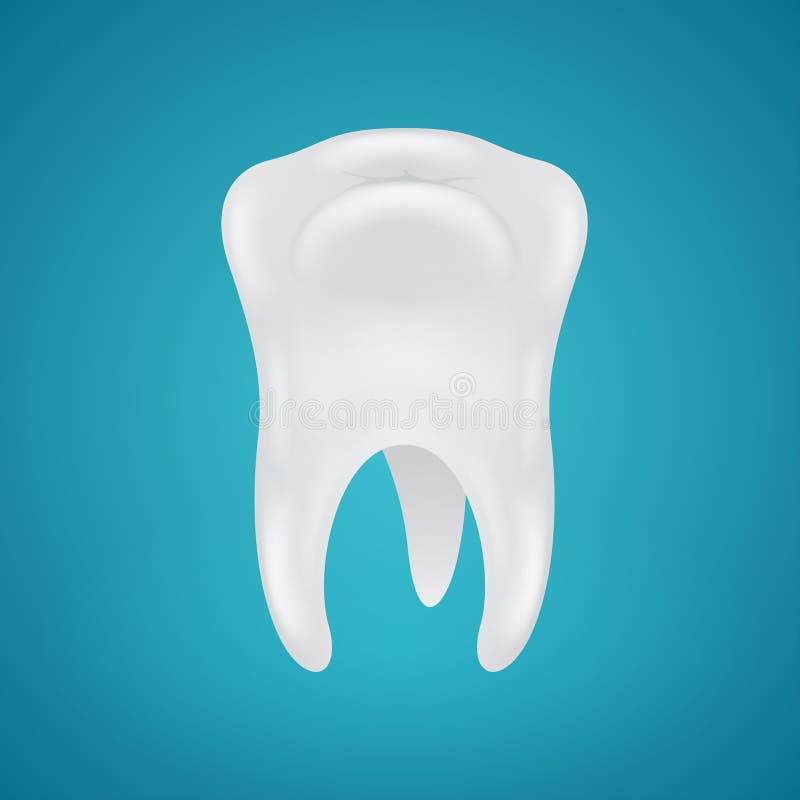 Human Teeth on Blue Background Stock Vector - Illustration of biology ...