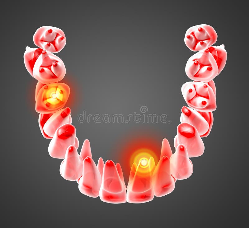Human teeth stock illustration. Illustration of medical - 227883777