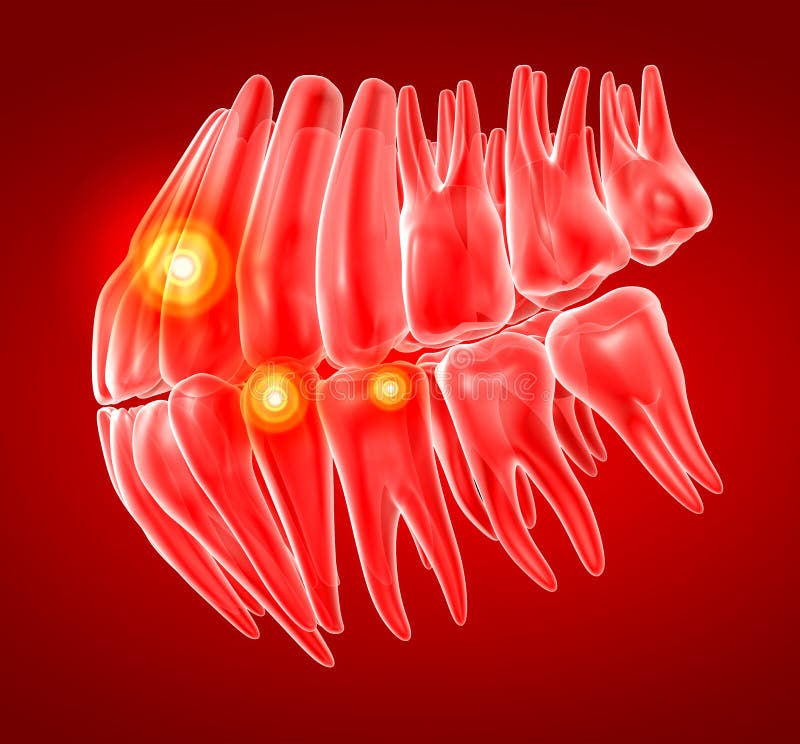 3D Rendering of Human Teeth Stock Illustration - Illustration of human ...