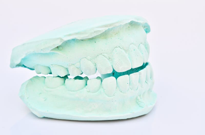 Human teeth, model stock photo. Image of medicine, denture - 29949182