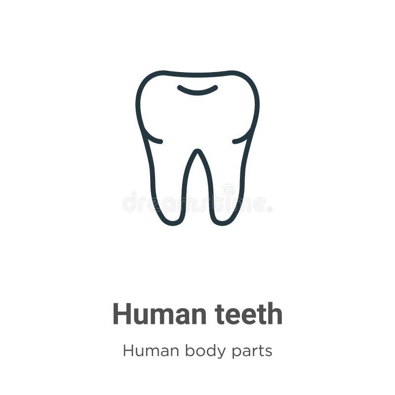 Teeth Outline Stock Illustrations – 23,254 Teeth Outline Stock ...
