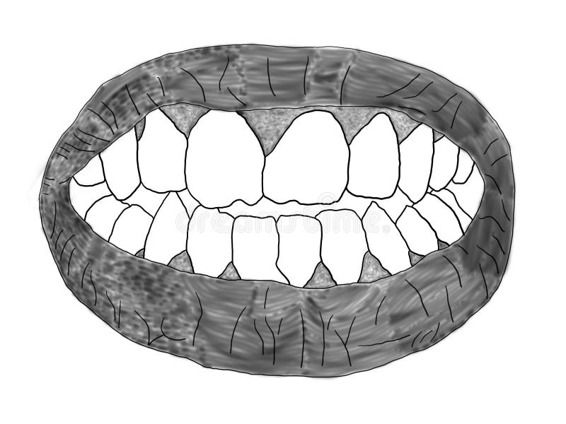 Human Teeth Sketch on White Background Stock Illustration ...