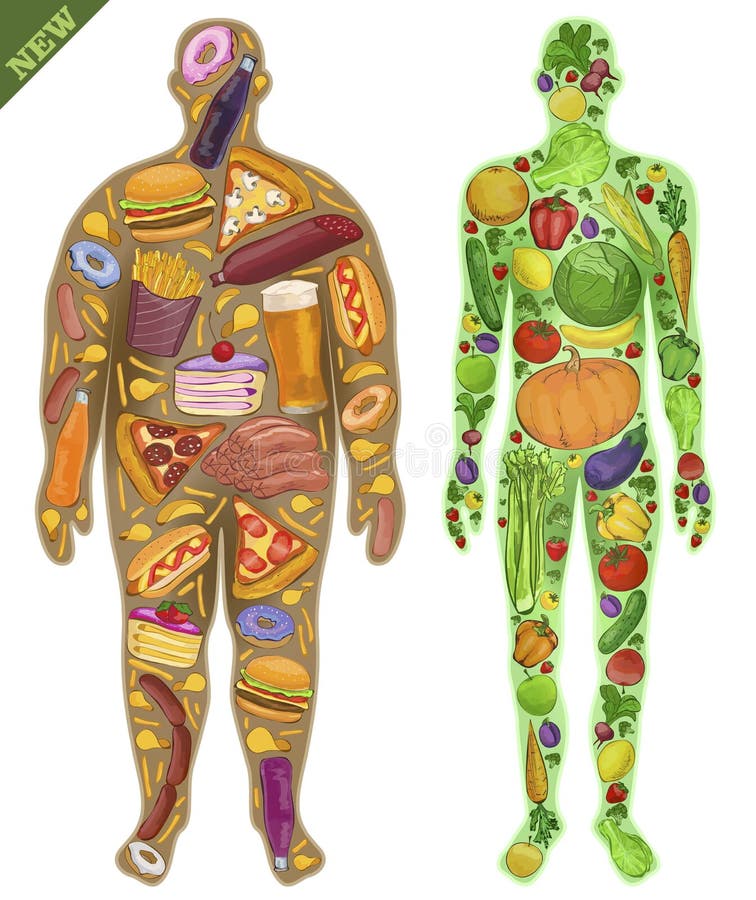 Human, Thin, Fat. Nutrition, Food. New. Vector Illustration Stock ...