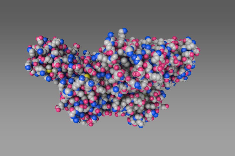 Human Thioredoxin 2. Space-filling Molecular Model on Gray Background ...