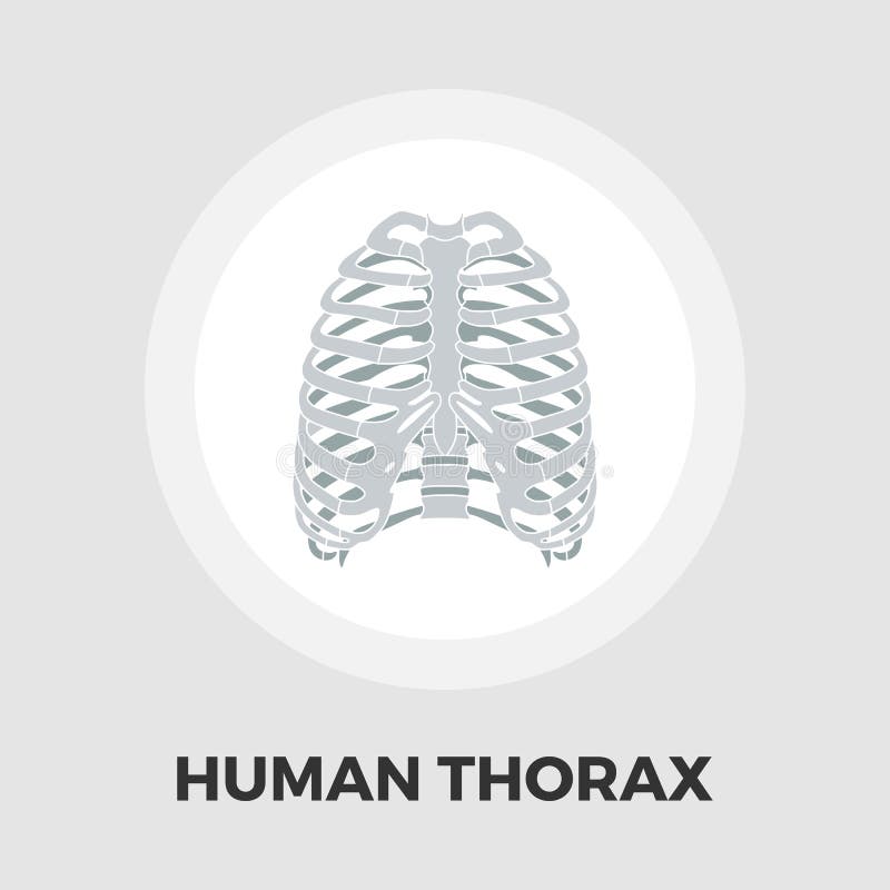 Icon of human thorax. stock vector. Illustration of front - 93392880