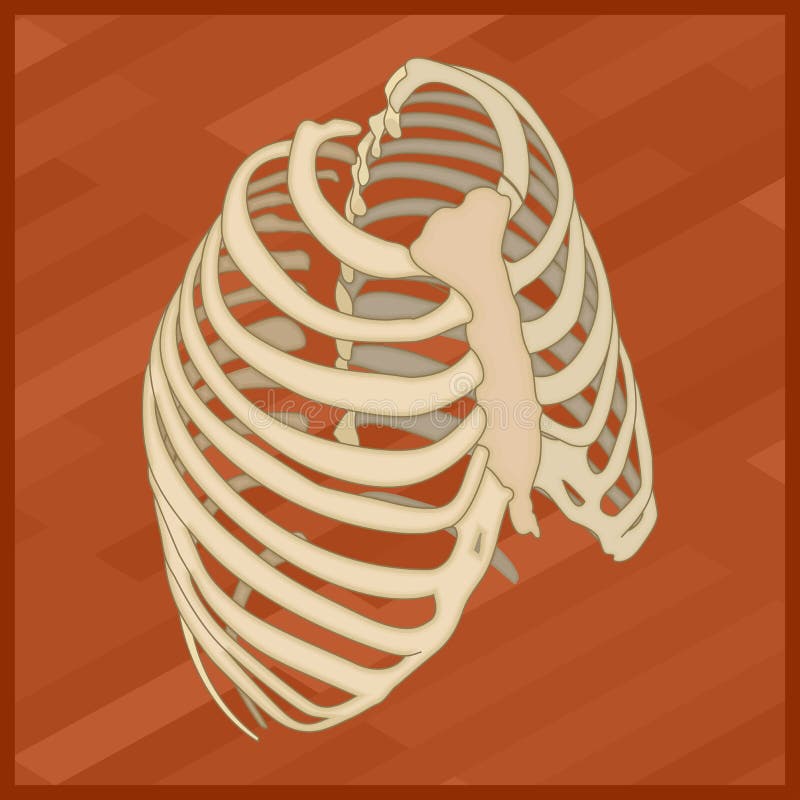 Human Thorax Flat Isometric Icon Stock Vector - Illustration of joint ...