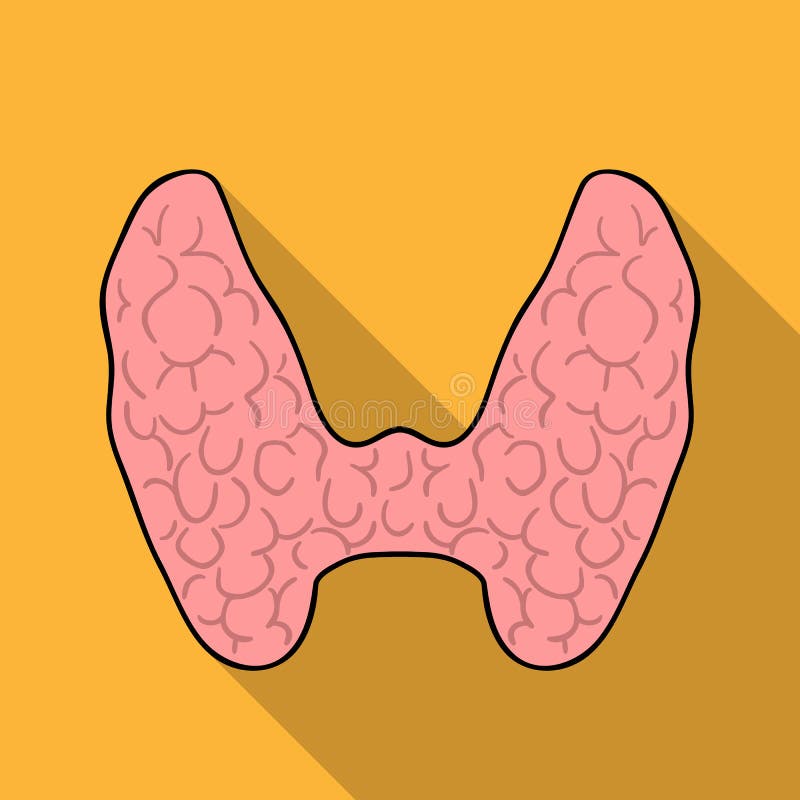 Human Thyroid Icon in Flat Style Isolated on White Background. Human ...