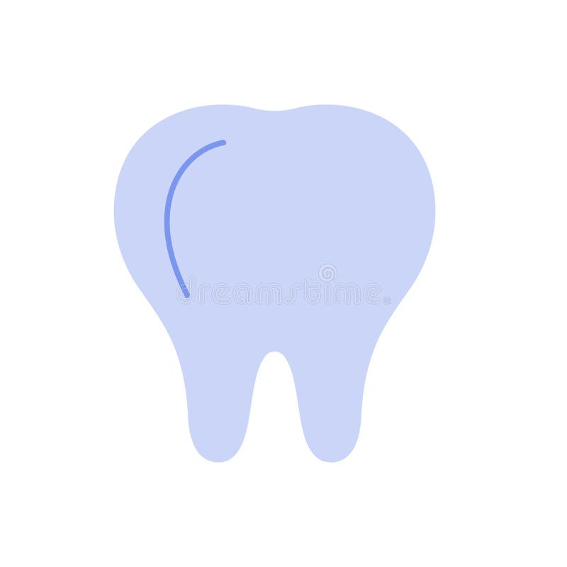 Human Tooth, Blue Healthy Molar Simple Model with Roots and Crown Stock ...