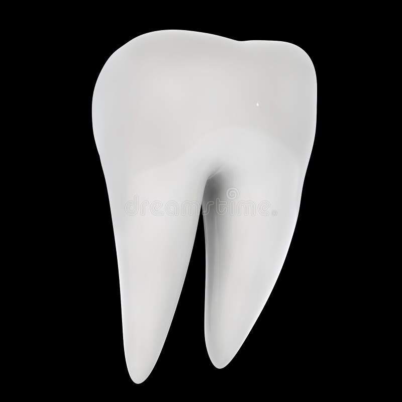 Human Tooth 3D Render Isolated Stock Illustration - Illustration of ...