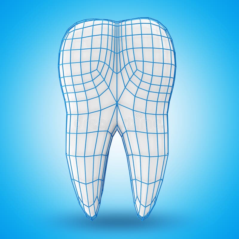 Human Tooth with Grid stock illustration. Illustration of freshness ...