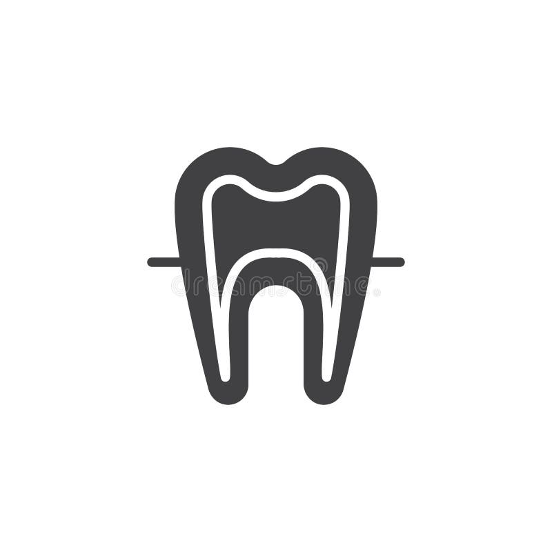 Human Tooth Model Vector Icon Stock Vector - Illustration of filled ...