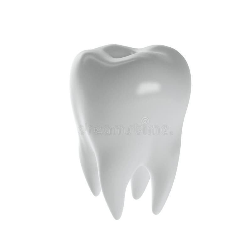 Human Tooth on a White Background Stock Illustration - Illustration of ...