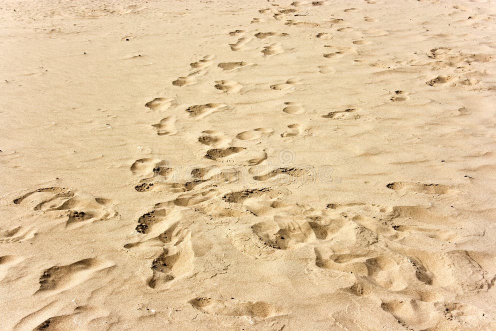 Human trace stock photo. Image of dirt, alone, moroccan - 3258236