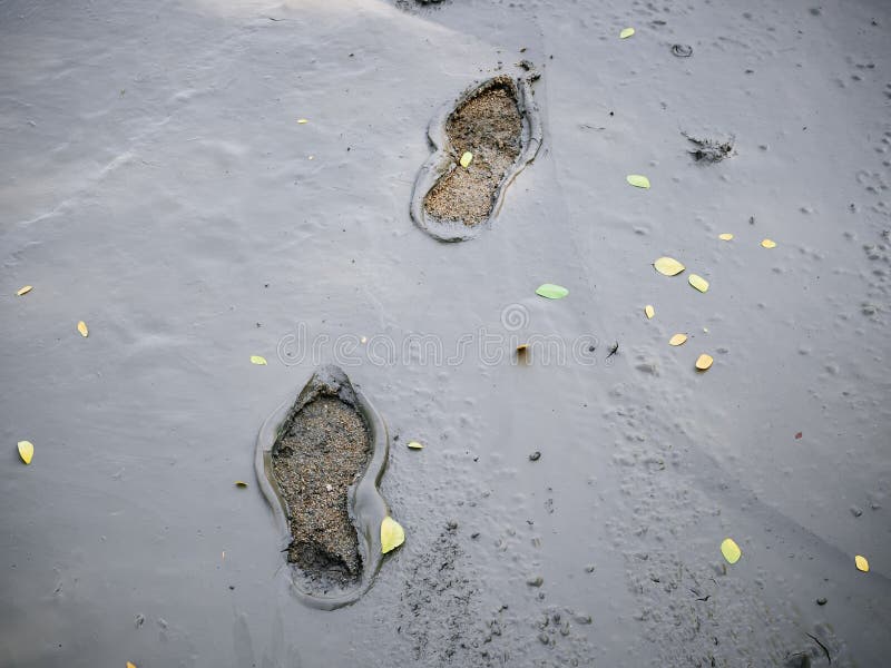 Human Trace Foot Print in Mud Ground Textured Stock Image - Image of ...