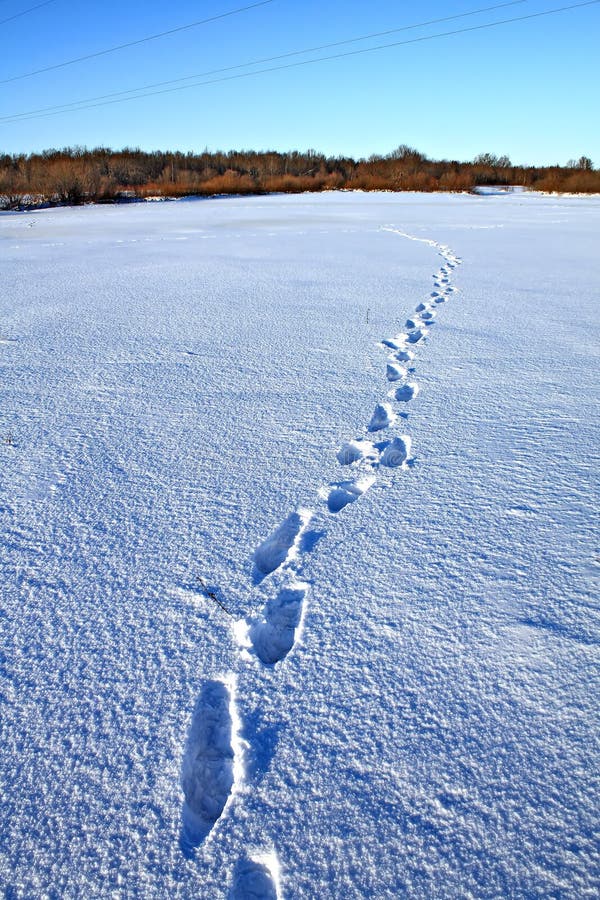 Human traces stock image. Image of field, crystalline - 11176621