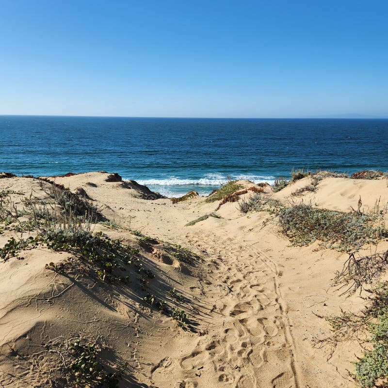 Human Tracks on the Sand Taking To the Beach Stock Image - Image of ...