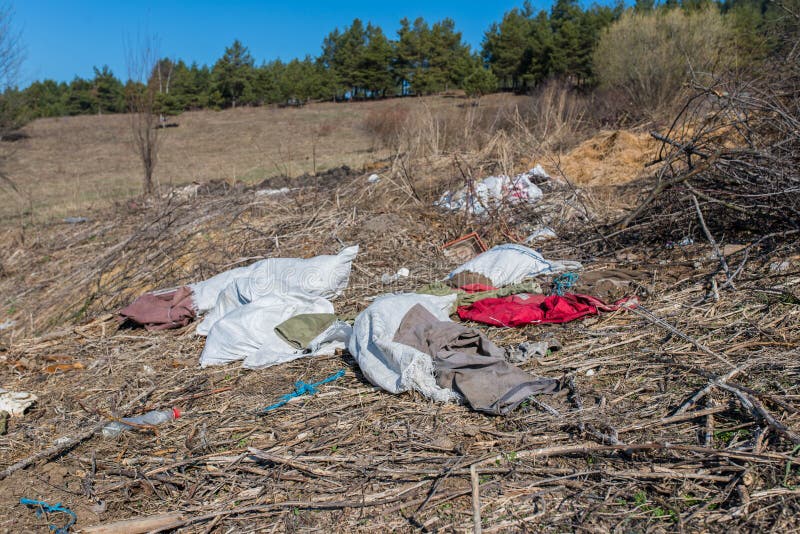 Human Trash Near Pine Forest at Springtime. Editorial Stock Image ...