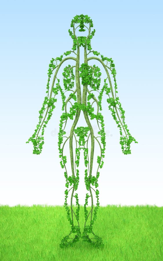 Human - tree stock photo. Image of tree, plant, green - 23605158