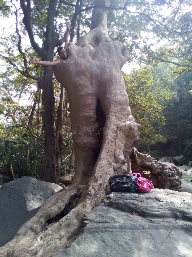 Human and tree silhouette stock photo. Image of silhouette - 261562828