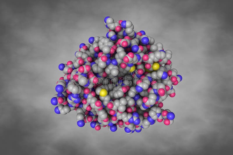 Human Tryptophan Hydroxylase 1 in Complex with Inhibitor. Space-filling ...