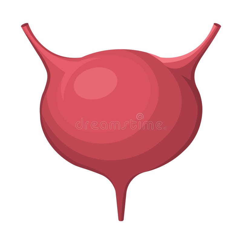 Background with Internal Organs. Human Body Anatomy. Health Care and ...