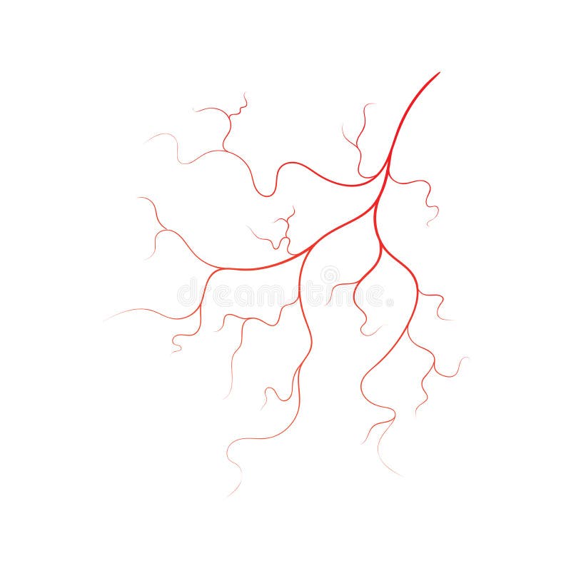 Human Vein Vector Symbol Icon Design Illustration Stock Vector ...