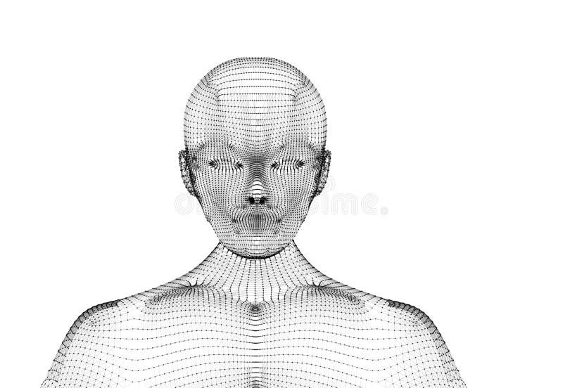 Human. Wireframe Model with Connection Lines on White Background Stock ...