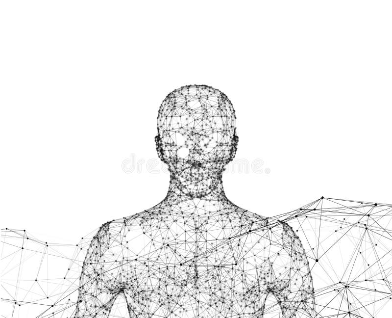 Human. Wireframe Model with Connection Lines on White Background Stock ...